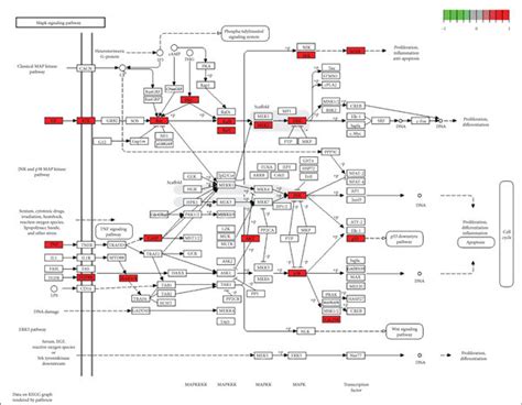 The Related Signaling Pathways Of Component Disease Targets A The