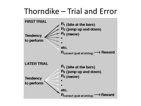Vidyas Phoenix Psychology Of Teaching And Learning Trial And Error Theory By Thorndike