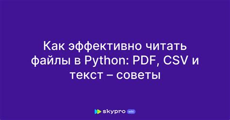 Как читать Pdf Csv и текстовые файлы в Python