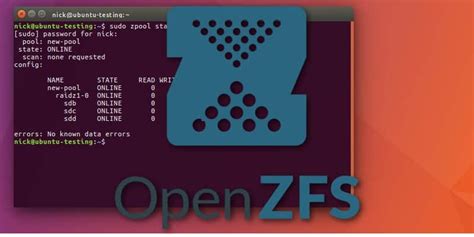 如何在 Ubuntu 上使用 Zfs 文件系统 Linuxstory
