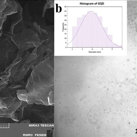 A Sem Image Of Graphene Oxide Sheets B Tem Image And Histogram Of Gqd