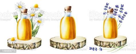 나무 톱에 코르크 캡이 달린 수채화 기름 유리병은 흰색 배경에 분리된 카모마일과 라벤더로 자른다 미용 제품 및 식물학 요소 미용 및 의학 디자이너 스파 장식 엽서 포장지