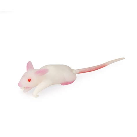 Erler Zimmer Erler Zimmer Simulation Mouse Model