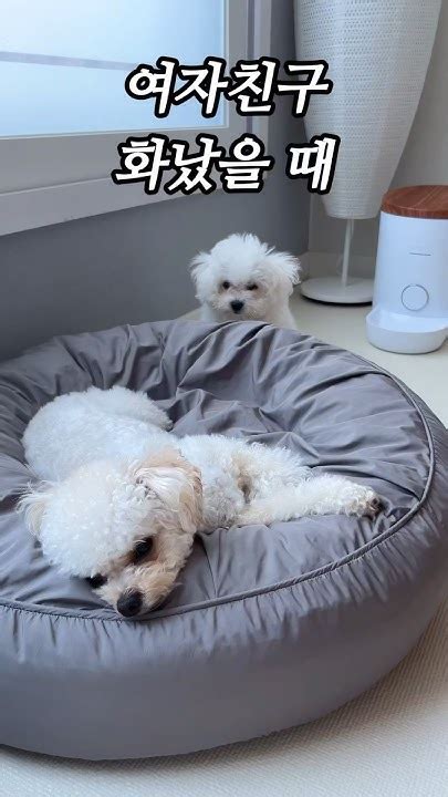 여자친구 화났을 때 Youtube