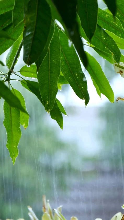 Sleep Sounds White Noise Vs Pink Noise Vs Brown Noise Happsy Video Video In