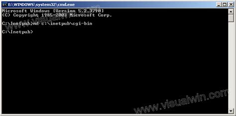 Setting Up Perl On Windows Server