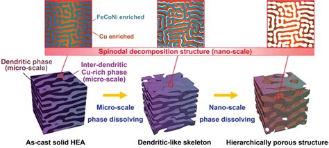 The Schematic Diagram For The Architecture Of The Hierarchical Porous