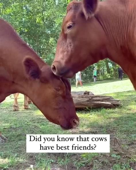 Anthony Misitano On Linkedin Makeithappen Findaway