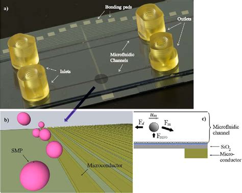Figure 1 From On Chip Microfluidic Biosensor Using Superparamagnetic Microparticles Semantic
