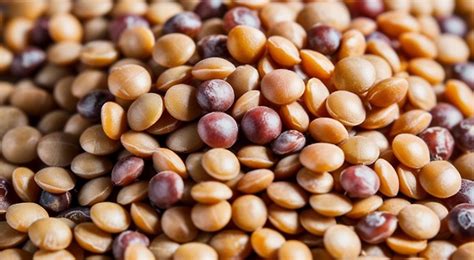 🍚 일반밥보다 식이섬유 3배이 잡곡밥 비율 건강을 위해 기억하세요 그녀의 레시피