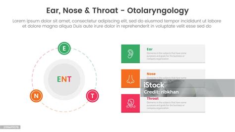 이비인후과 건강 치료 질병 인포 그래픽 슬라이드 프레젠테이션을 위해 선에 큰 원과 윤곽선 배지가 있는 3점 무대 템플릿 건강관리와 의술에 대한 스톡 벡터 아트 및 기타