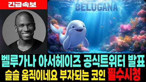 벨루가나 밈코인 Belugana 긴급속보 아서헤이즈 공식트위터 발표 슬슬 움직이네요 부자되는 코인 필수시청 코미녀tv