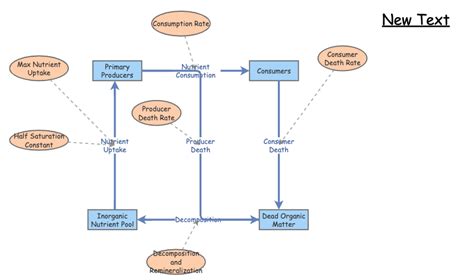 Modeling Homework Me Insight Maker