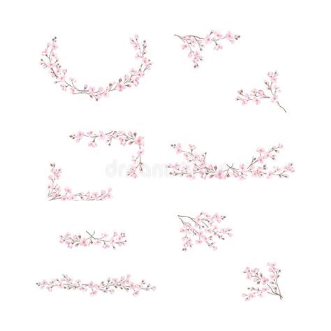 Twigs Of Sakura Or Cherry Blossom Arranged In Frame And Border Line