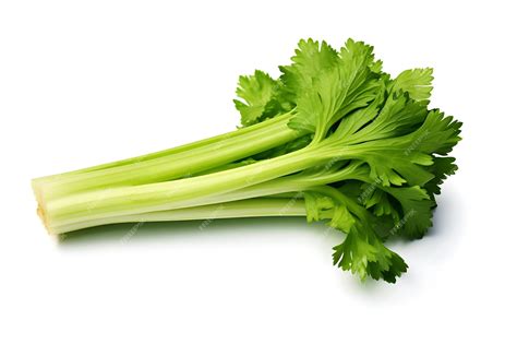 Premium Photo Celery Vegetable Isolated On White Background