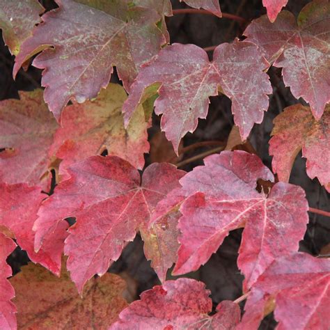 Drexcel Photography Added A New Photo Drexcel Photography