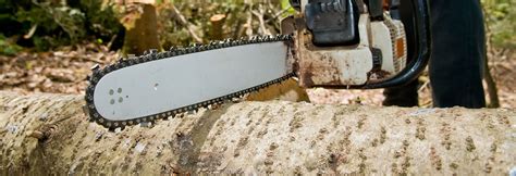 Utah Tree Removal Arborist Utah