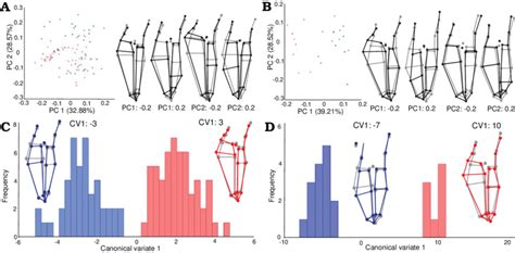 Principal Component Cross Plots Of The First Two Principal Components Download Scientific