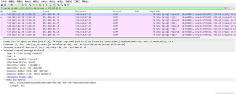 Icmp报文格式详解 Csdn博客