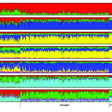Admixture Bar Plot Showing Breed Proportions At Assumed Ancestry