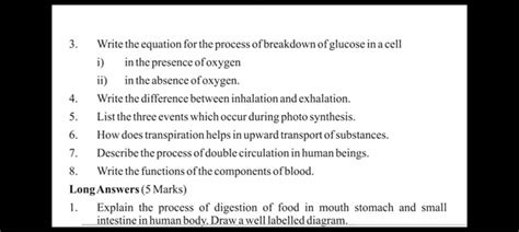 Write The Equation For The Process Of Breakdown Of Glucose In A Cell I