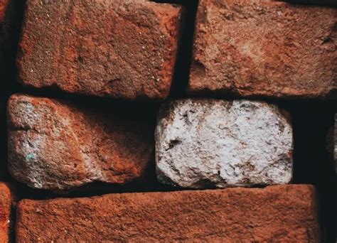 Jawaban Batu Bata Italy Mpls 2023 Adalah Ternyata Ini Jawaban Teka Teki Batu Bata Italy Mpls