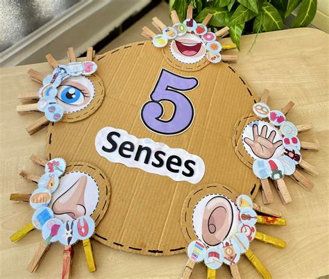 Five Senses Activities Crafts The Five Senses Weekly Home Preschool