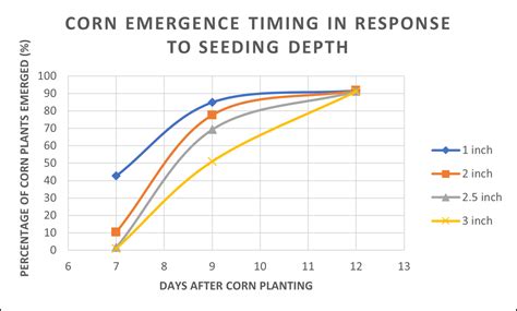 How Deep Should Corn Be Planted Purdue University Pestandcrop Newsletter