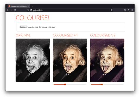 How To Colorize Pictures With Openvino™ On Ubuntu Containers Docker
