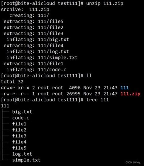 Linux系统中操作Zip文件掌握解压方法及unzip命令技巧 Linux命令大全 手册