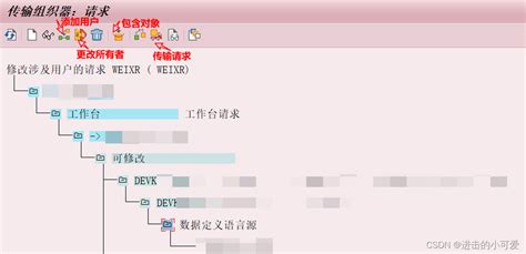 学习abap的第一天：基础与简介 abap请求建副本 csdn博客