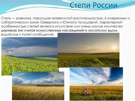 Зона Степей 4 класс презентация онлайн