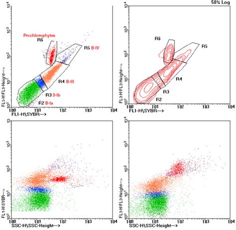 Bacteria And Cytometry