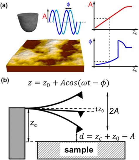 Scheme Of Distances And Observables In Tapping Mode Afm A The