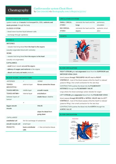 Cardiovascular System Cheat Sheet By Etac Download Free From Cheatography Cheatography Com