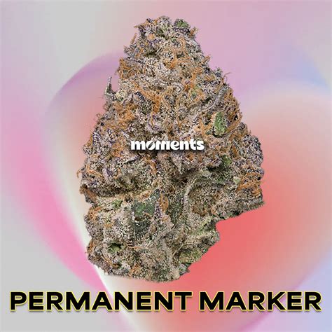 Permanent Marker Strain