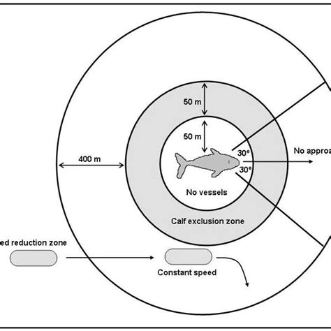 Diagram Of Approach Distances For Individual Or Groups Of Whales