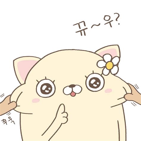 치와와의 오후 치와와 커플남치니 여치니 짤 방출 사실 남치니와 여치니의 이름은 모카와 베이지에요 ㅋㅋㅋ