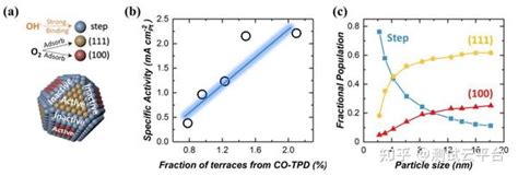 述不尽催化剂的尺寸效应，到底如何理解？acs Nano最新观点！ 知乎