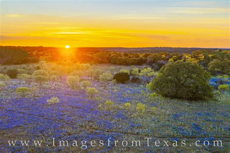 Aerial Bluebonnet Sunset In The Hill Country 413 2 Texas Hill Country Rob Greebon Photography