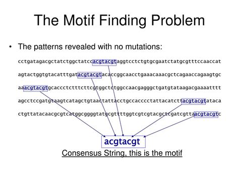 Ppt Motif Finding Powerpoint Presentation Free Download Id3685755