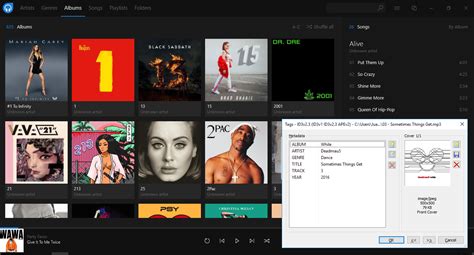 Incorrectly Tagged Albums Show Up As Unknown Artist Issue Digimezzo Dopamine Windows