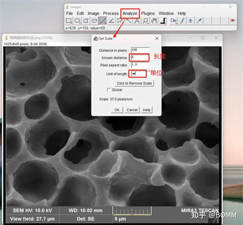 Imagej 统计孔径（不规则） 知乎