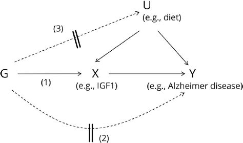 Directed Acyclic Graph Illustrates The Mendelian Randomization Approach