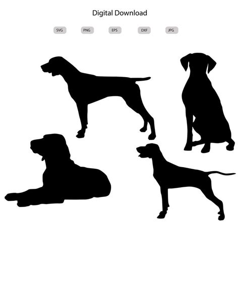 pointer short hair svg pointer short hair silhouette pointer short hair svg bundle pointer short