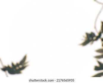 Mesh Shadow Images Stock Photos Vectors Shutterstock