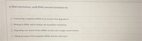 Solved In Rna Interference Small Rnas Prevent Translation