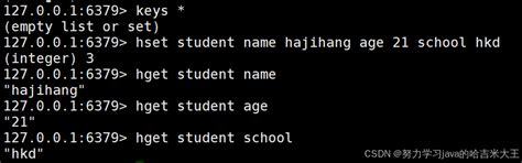 Redis数据结构 Hash哈希redis Hash数据结构 Csdn博客 Redis数据结构 Hash哈希redis Hash数据结构 Csdn博客