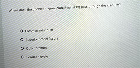Where Does The Trochlear Nerve Cranial Nerve Iv Pass Through The Cranium O Foramen Rotundum O