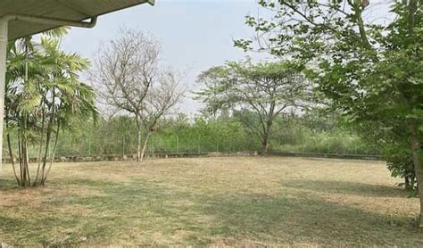 ขายที่ดินดอยสะเก็ตแม่คือใกล้ตลาดสดโฉนดพร้อมโอน ที่ดินร้อยแปด คอม